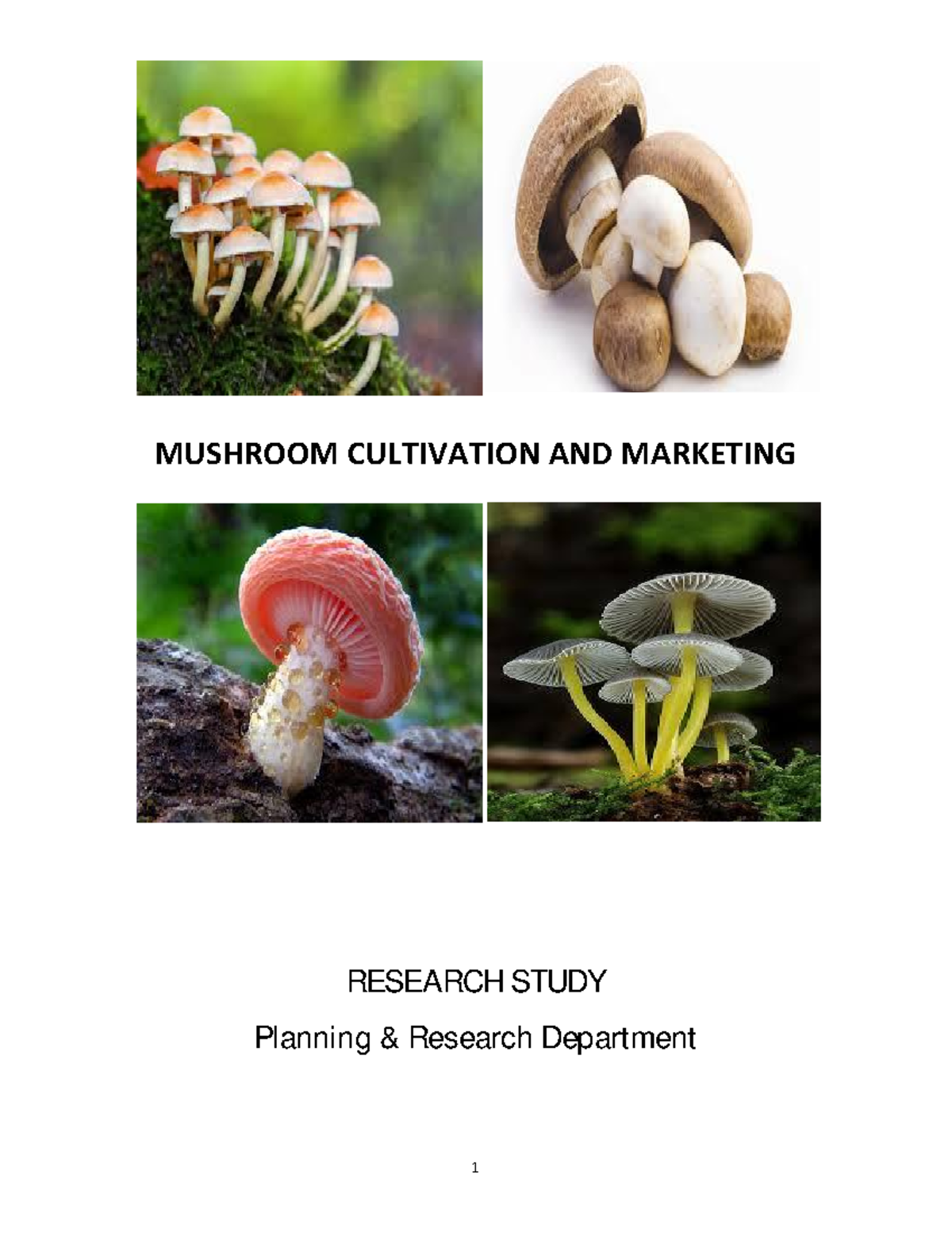 Mushroom Cultiv - project - MUSHROOM CULTIVATION AND MARKETING RESEARCH ...