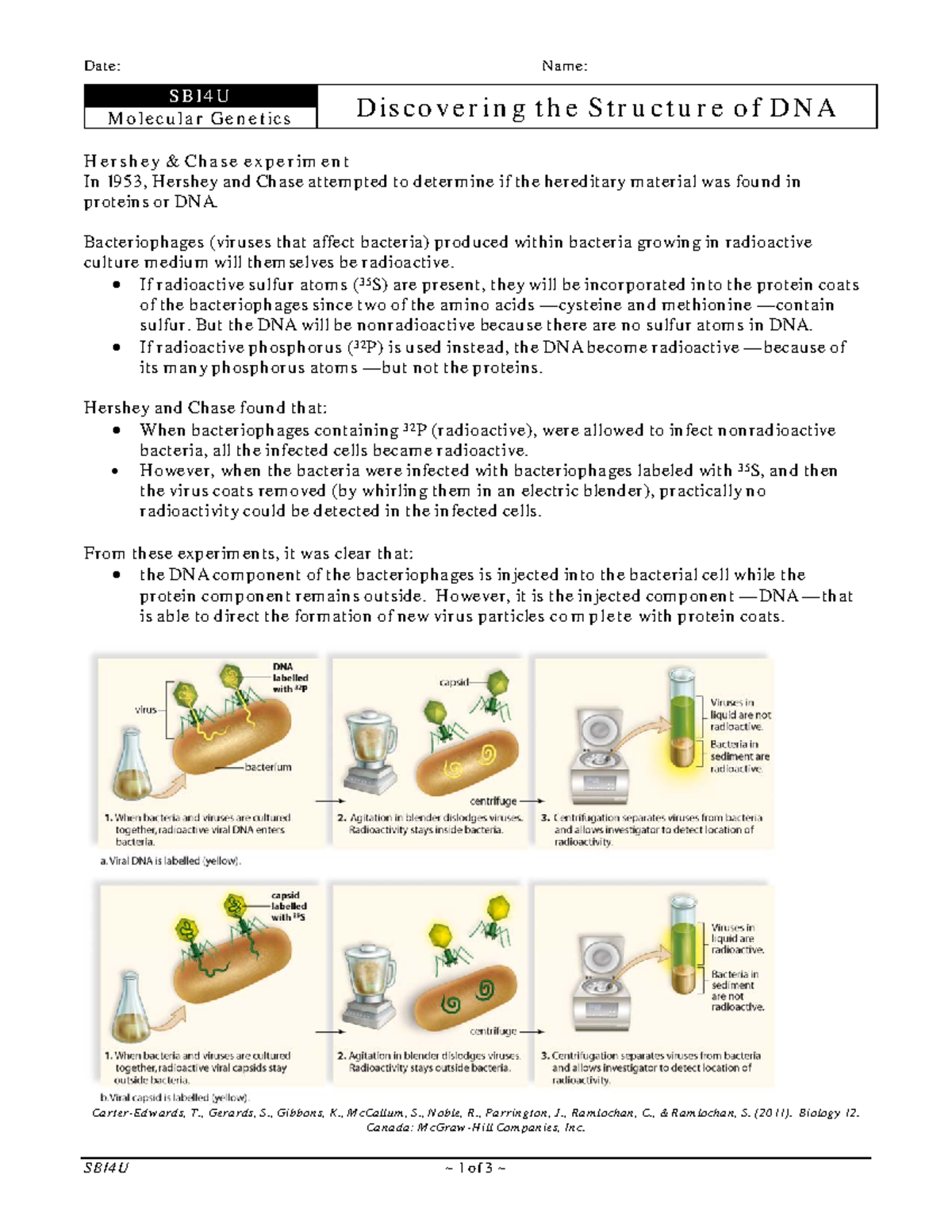 Determining the Structure of DNA - Date: Name: SBI4U ~ 1 of 3 ~ SBI4U ...