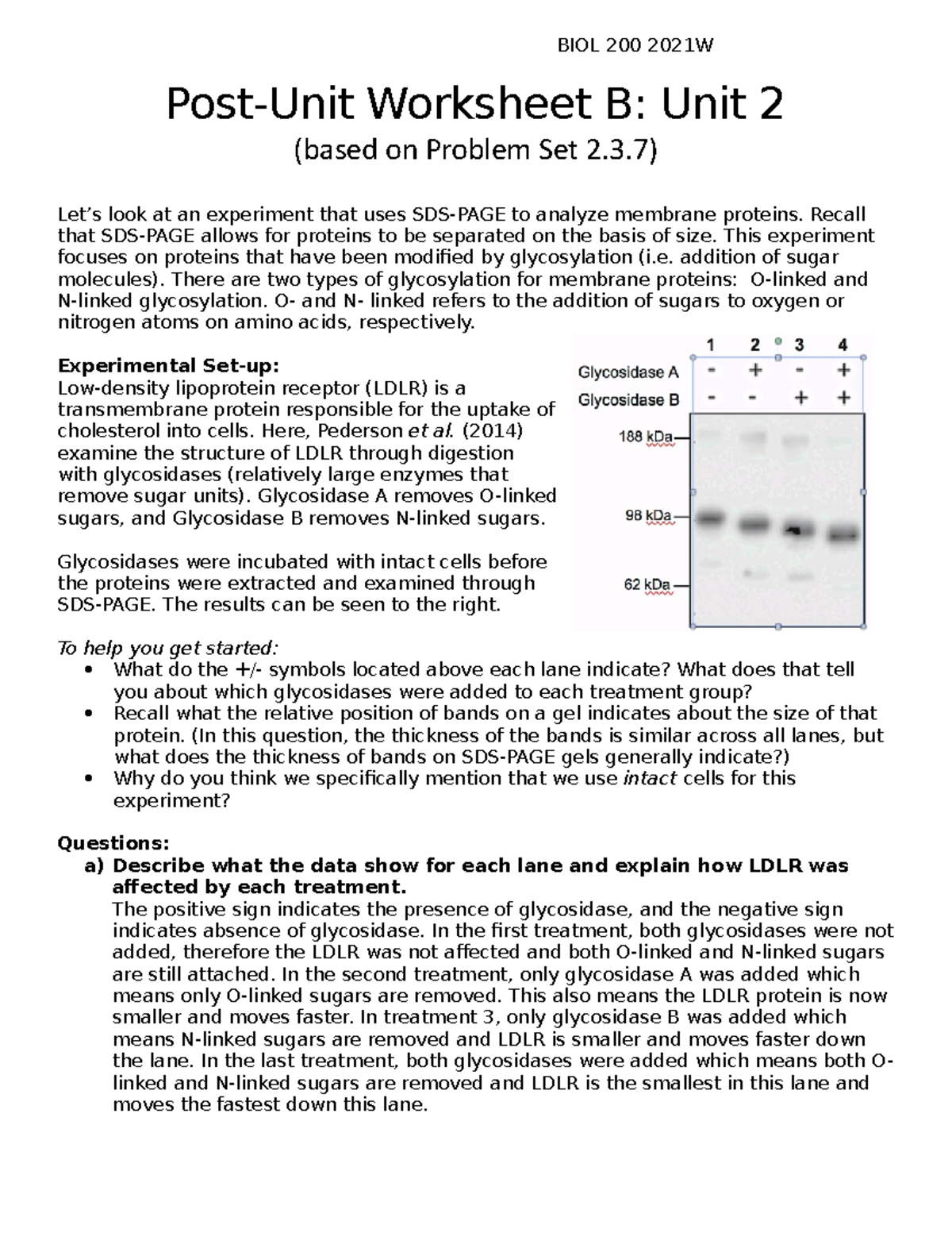 POST UNIT WS 2B - Worksheet - BIOL 200 2021W Post-Unit Worksheet B ...