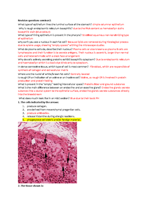 Histology OF THE Female Reproductive System - HISTOLOGY OF THE FEMALE ...