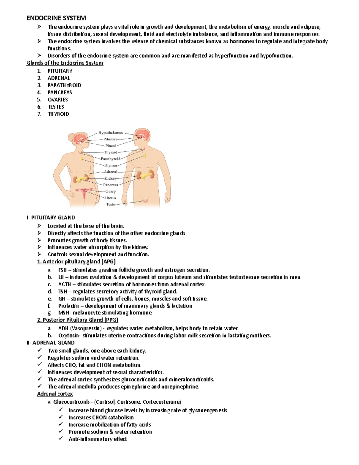 Endocrine System handouts for iloilo - ENDOCRINE SYSTEM The endocrine ...