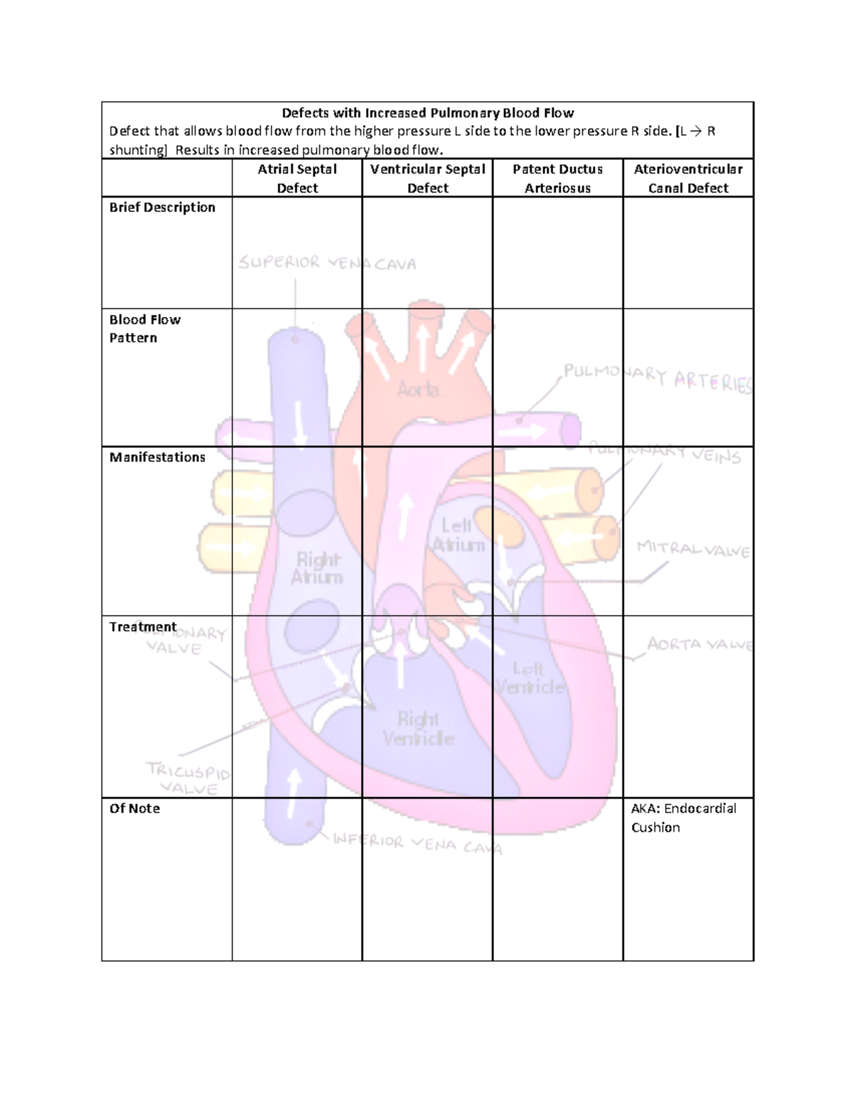 Congenital Heart Defects - Defects with Increased Pulmonary Blood Flow ...