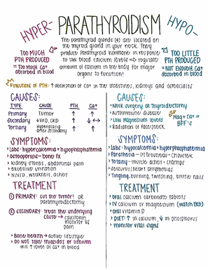 UNIT 11 the skeletal system - Describe the functions of the bone ...