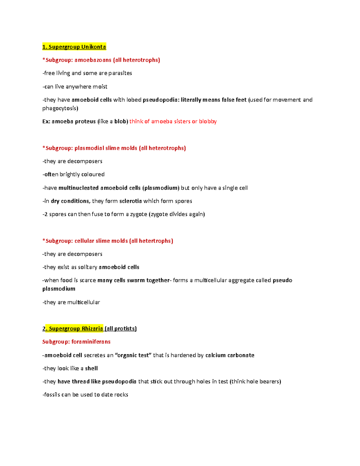 Protist - karen sereda - Supergroup Unikonta *Subgroup: amoebazoans ...