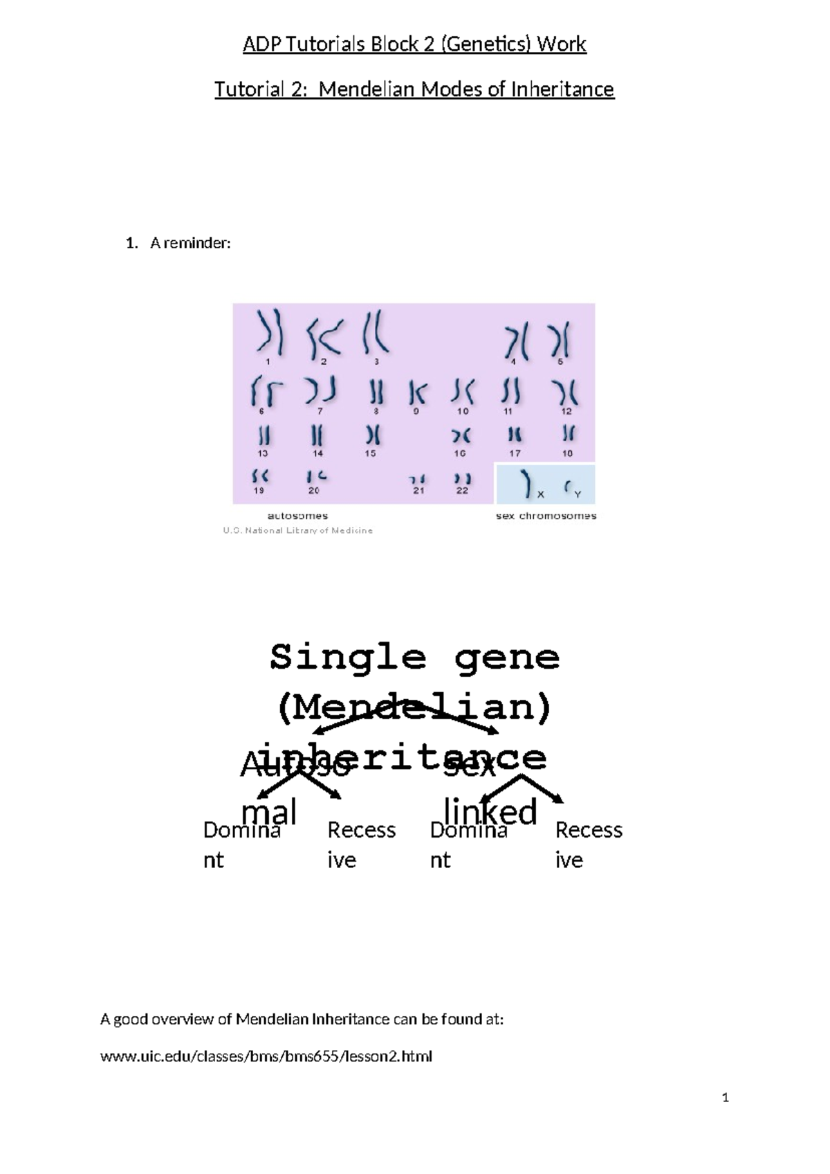 Revision tut 2 block 2 - Good - ADP Tutorials Block 2 (Genetics) Work ...