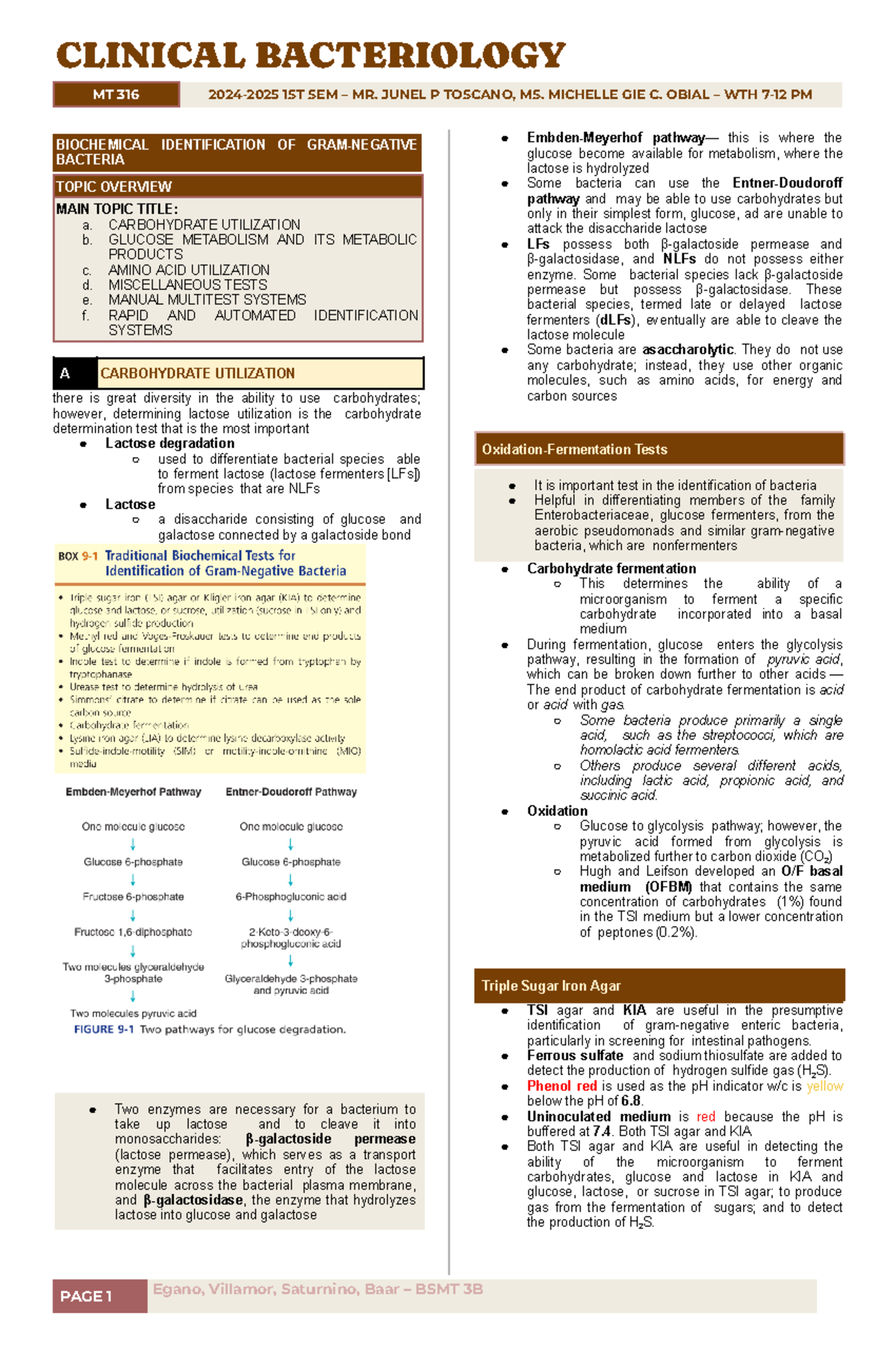 Biochemical Identification OF GRAM- Negative Bacteria & Selected ...