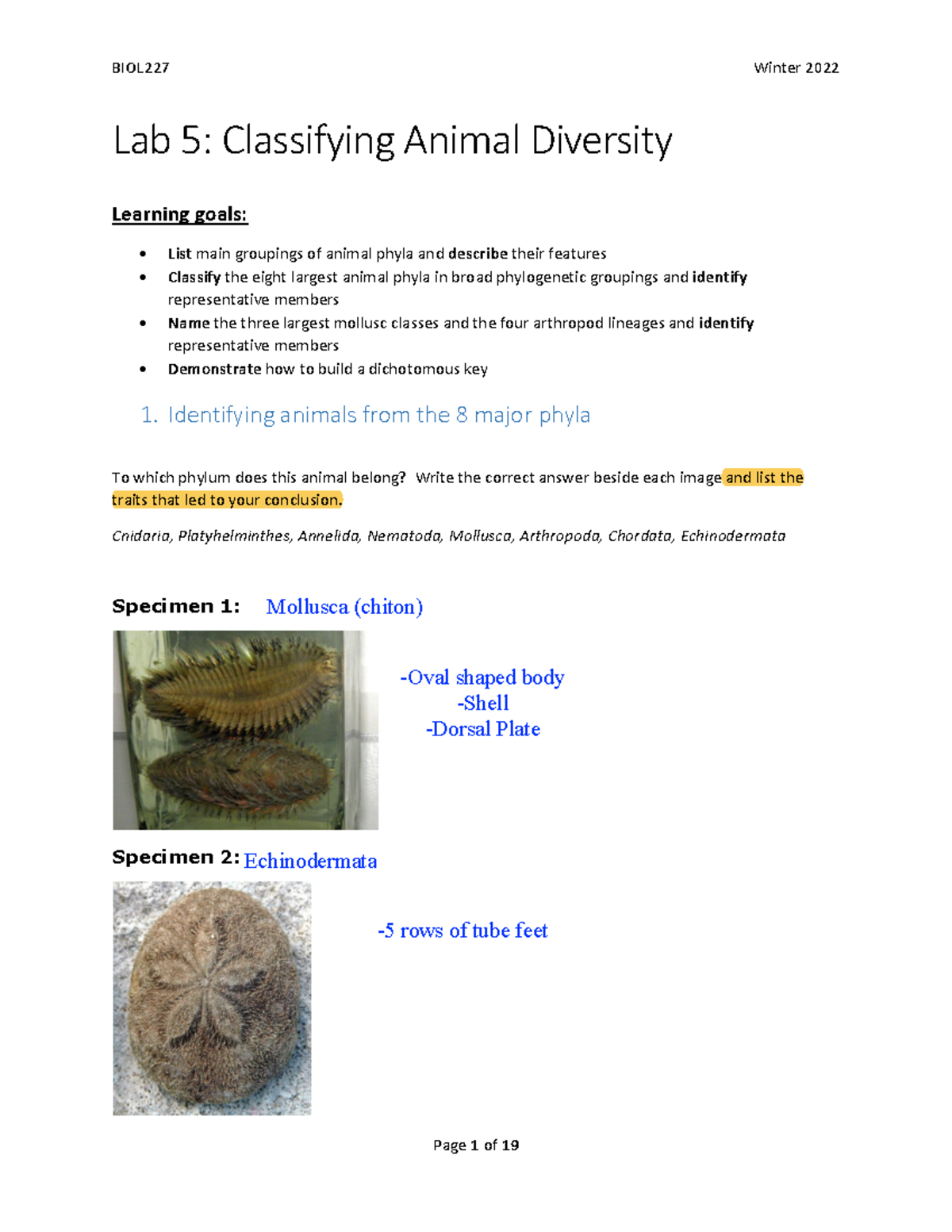 5 Lab (diversity classification) online - Lab 5: Classifying Animal ...