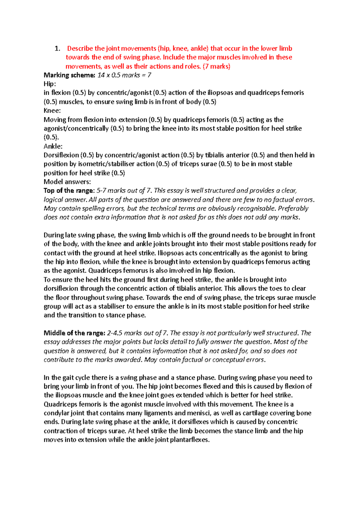 HUBS Practice Mini Essay Questions - Describe the joint movements (hip ...