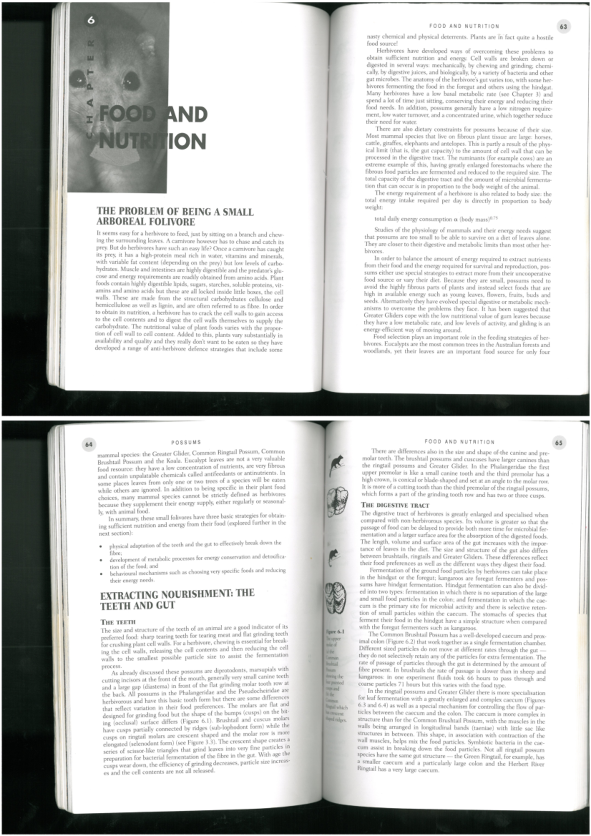 Chapter 6 Food and nutrition - Studocu