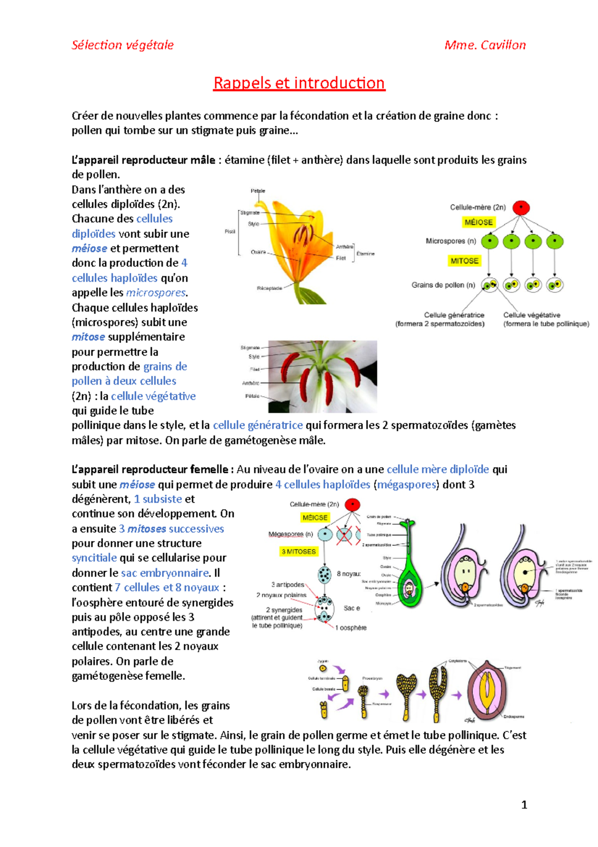 Rappels-et-introduction - Sélection végétale Mme. Cavillon Rappels et ...