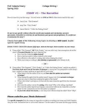 WRITING SAMPLE COLLEGE WRITING - Prof. C. Sherry College Writing I ENG ...