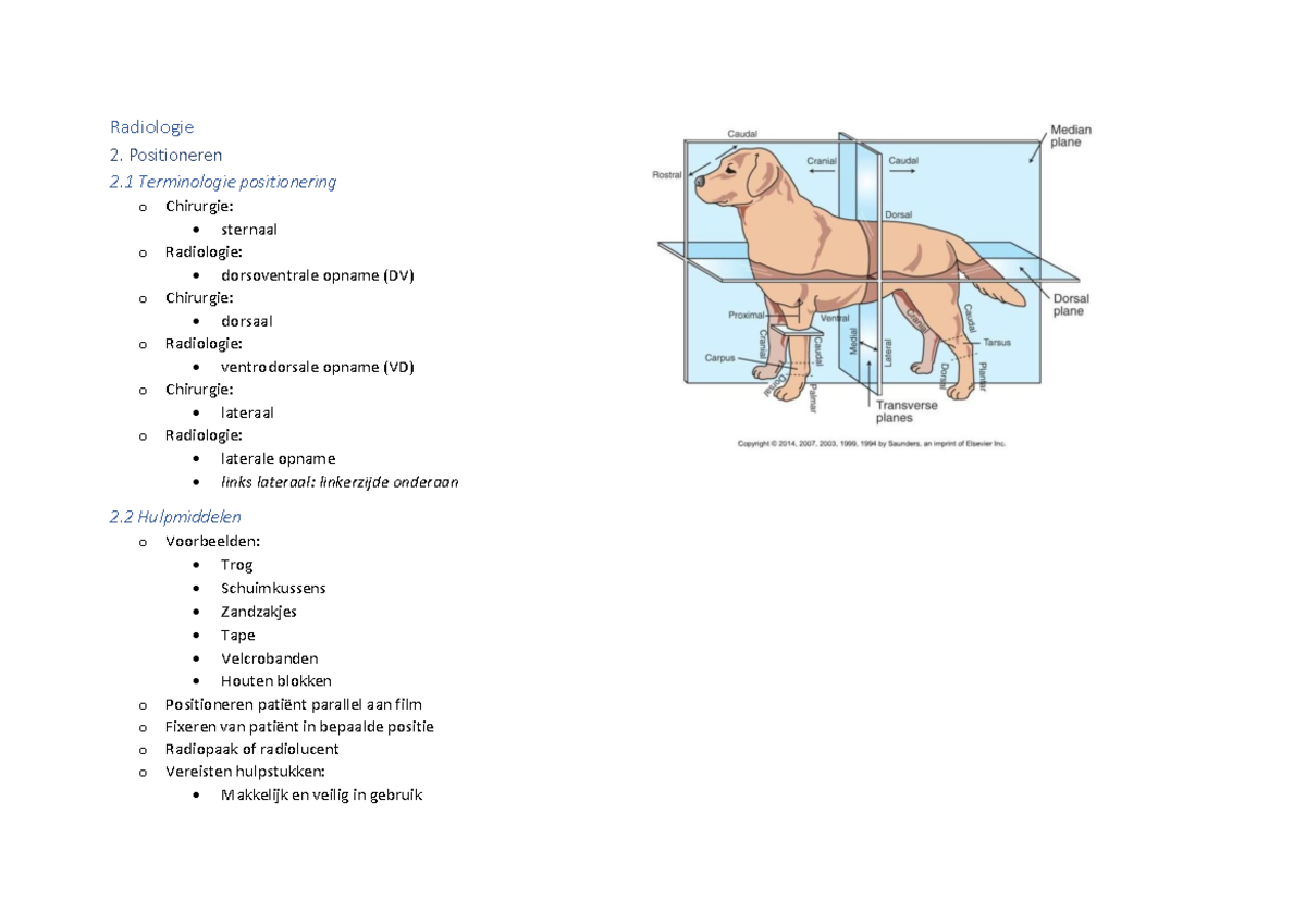 Medische beeldvorming ANDY - Radiologie 2. Positioneren 2 Terminologie ...