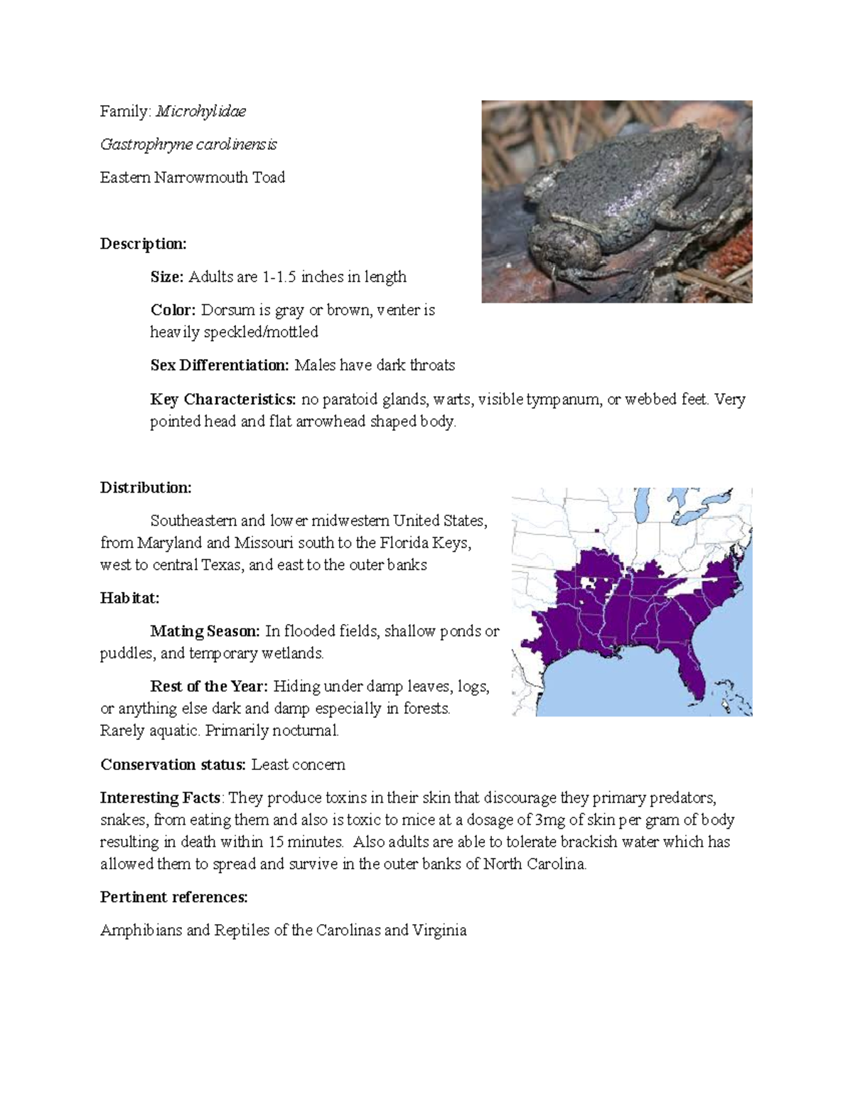 3.19.Eastern Narrowmouth Toad- Jones - Family: Microhylidae ...