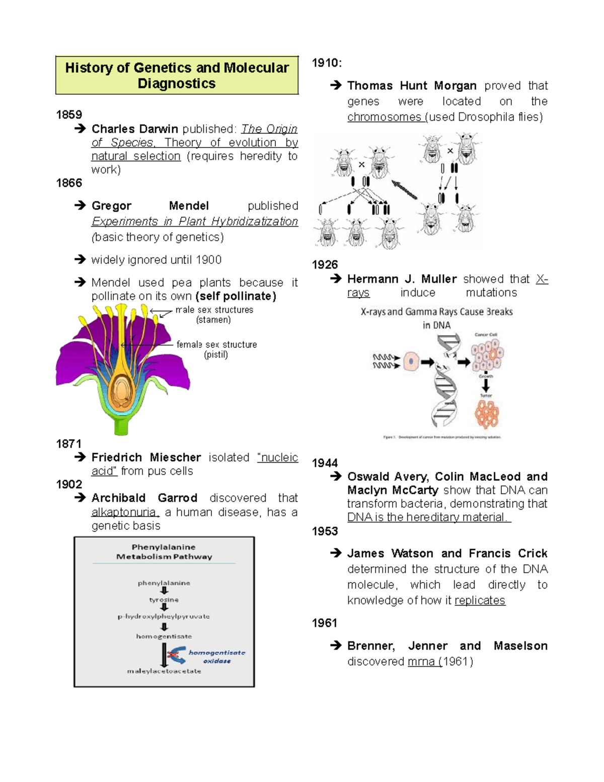 Lesson 1 AND 2 Molecular BIO - History of Genetics and Molecular ...