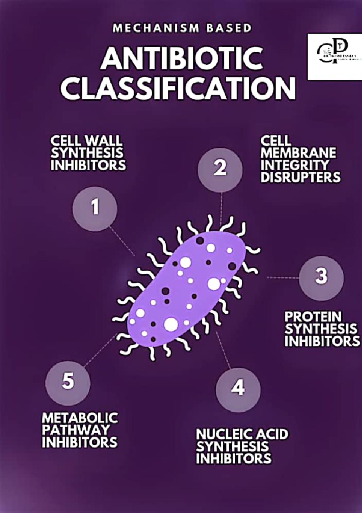 Antibiotics Classification - Pharmacy - Studocu
