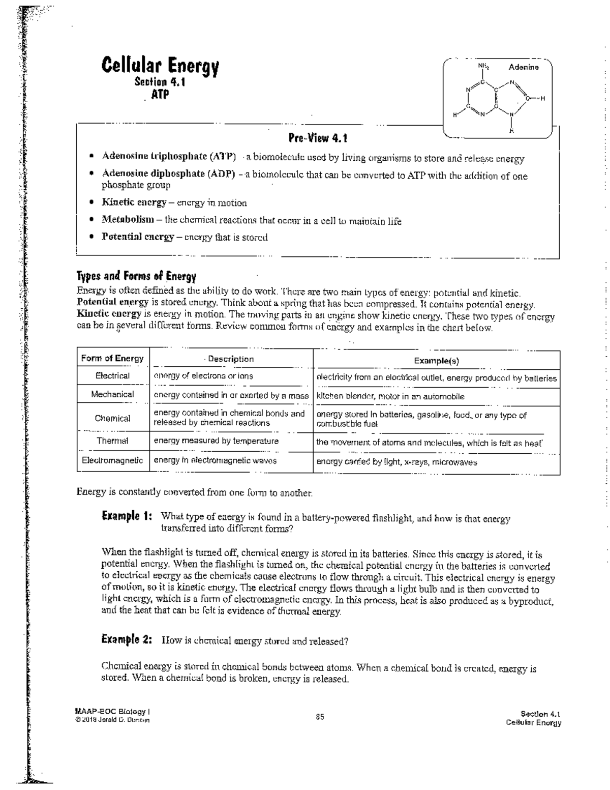 Unit 5 Cellular Energy - ivh - Cellular Energy NH2 Adenine Section 4 N ...