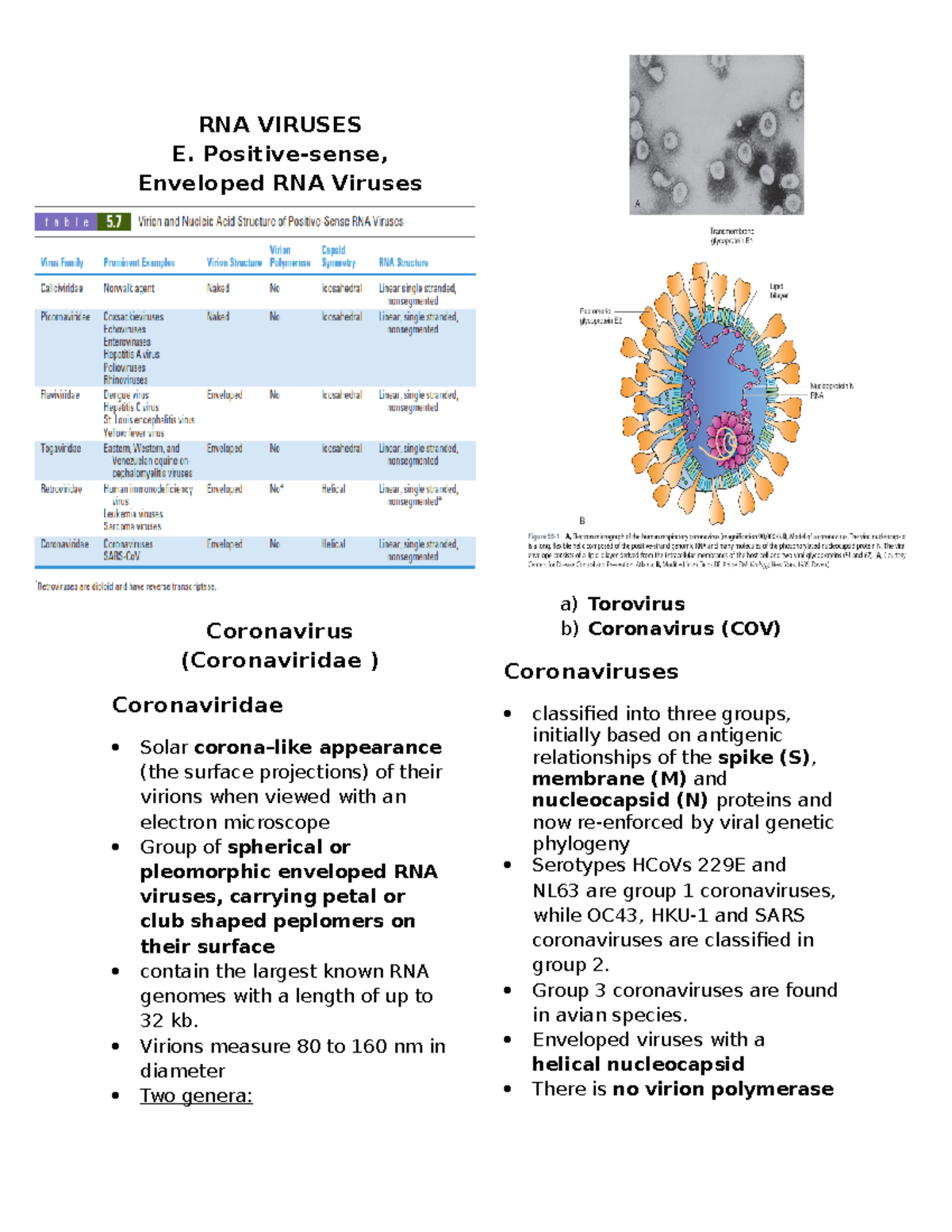 RNA Viruses coronavirusdocx MYCOLOGY AND VIROLOGY - Medical Technology ...