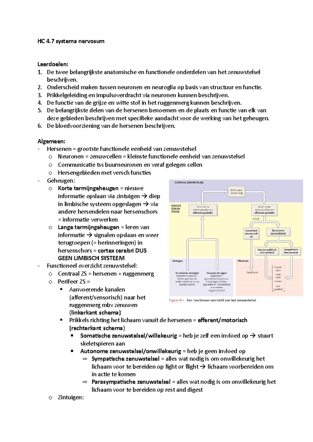 HC 4.7 A systema nervosum - HC 4 systema nervosum Leerdoelen: De twee ...