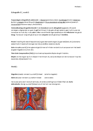 Stappenplan EC galblaas en galwegen - Galblaas en galwegen stappenplan ...
