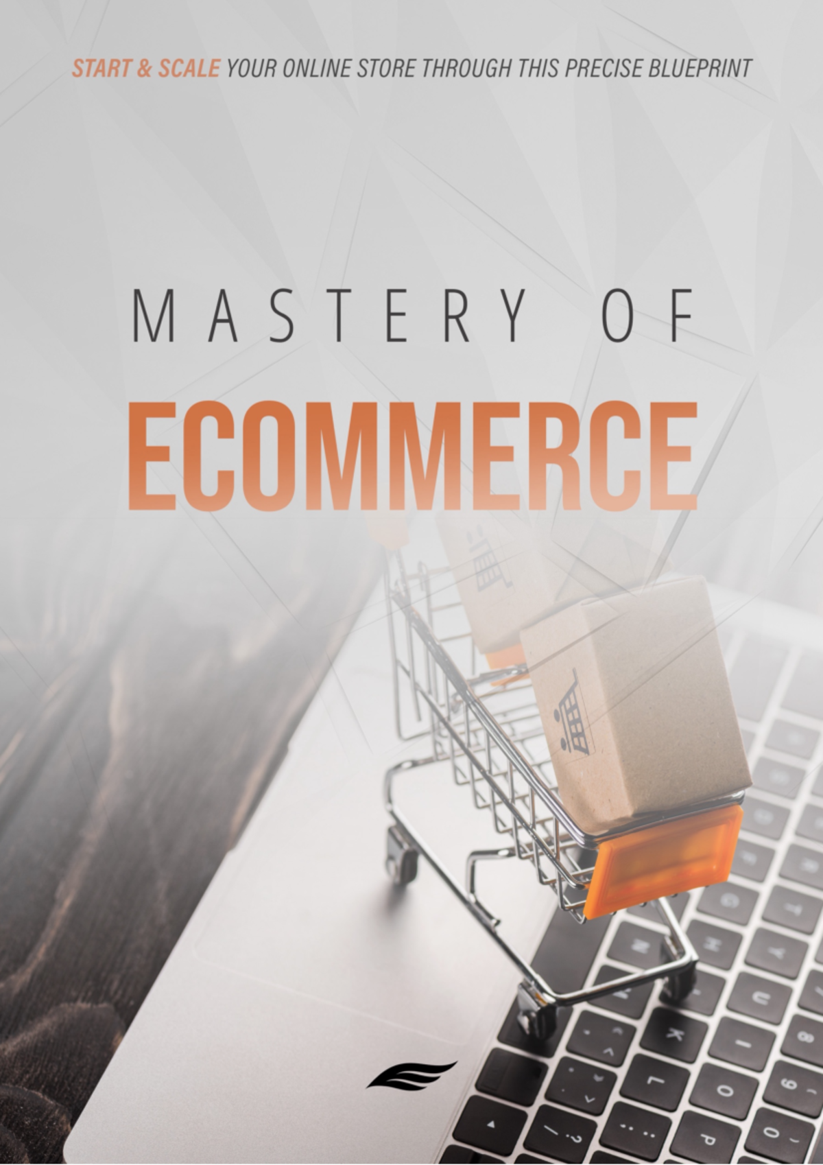 Mastery of E-Commerce - Content The E-commerce growth Store set up for ...