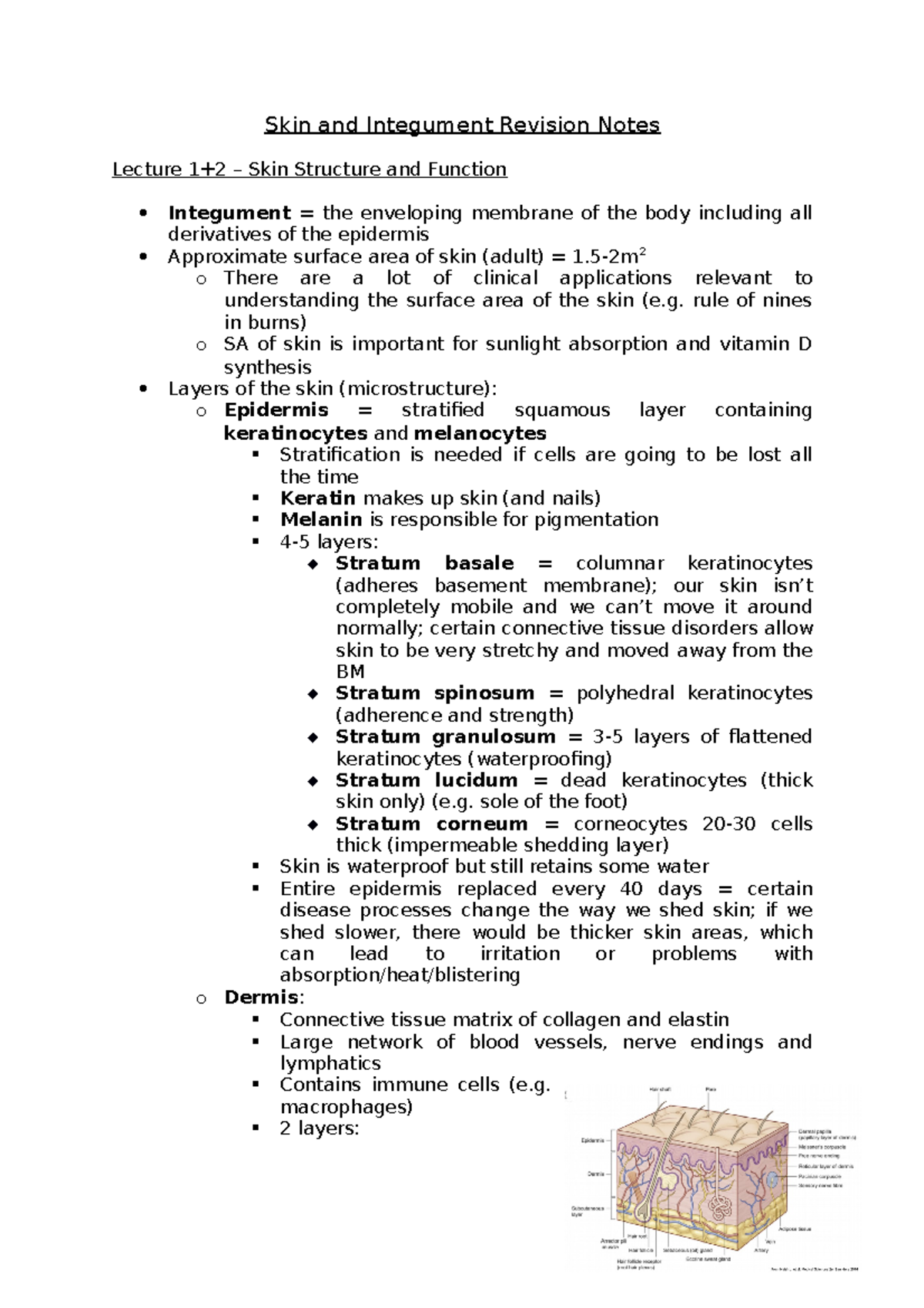 Skin Revision Notes - Skin and Integument Revision Notes Lecture 1+2 ...