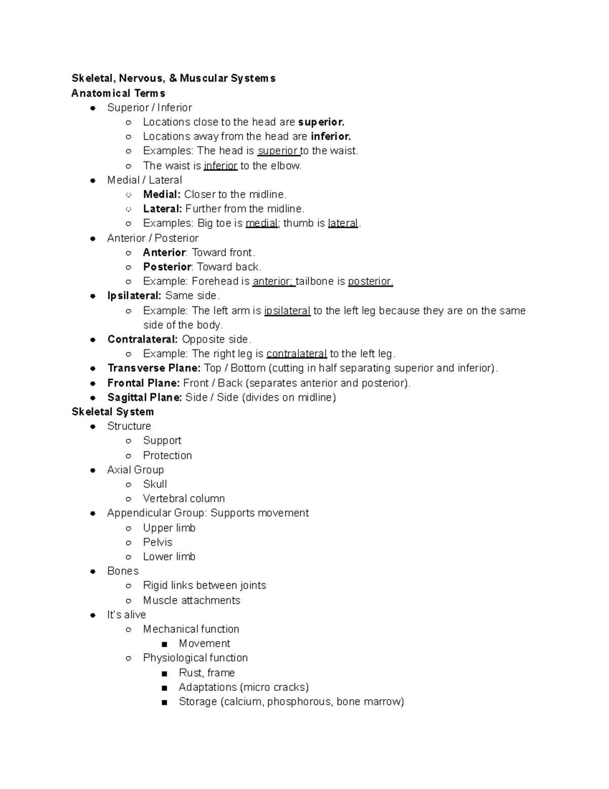 KIN 100 Lecture Notes: Skeletal, Nervous, and Muscular System ...