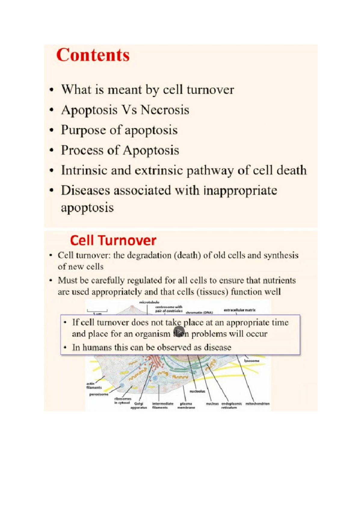cell turnover 1 - BIO-5002A - Studocu