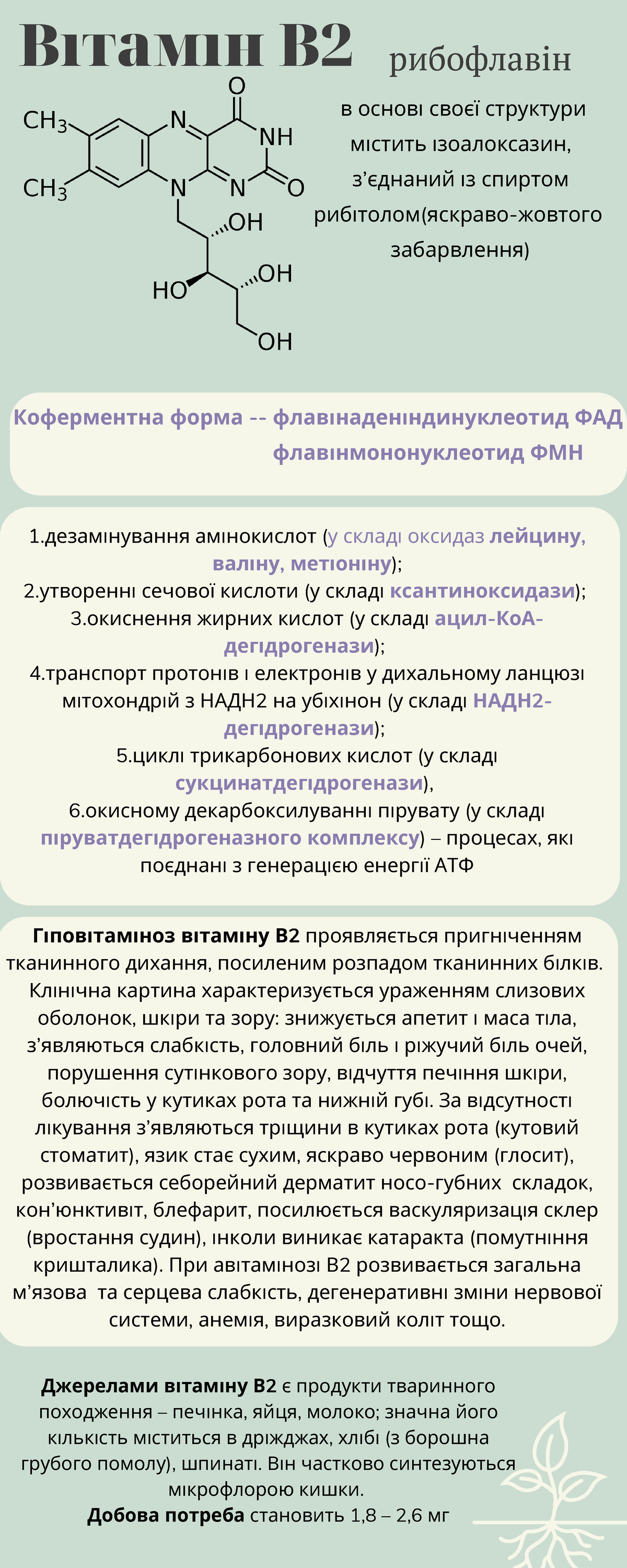 Вітамін B2 - Будова, функції, властивості вітамінів - КBH9D@9AFA4 HBD@4 ...