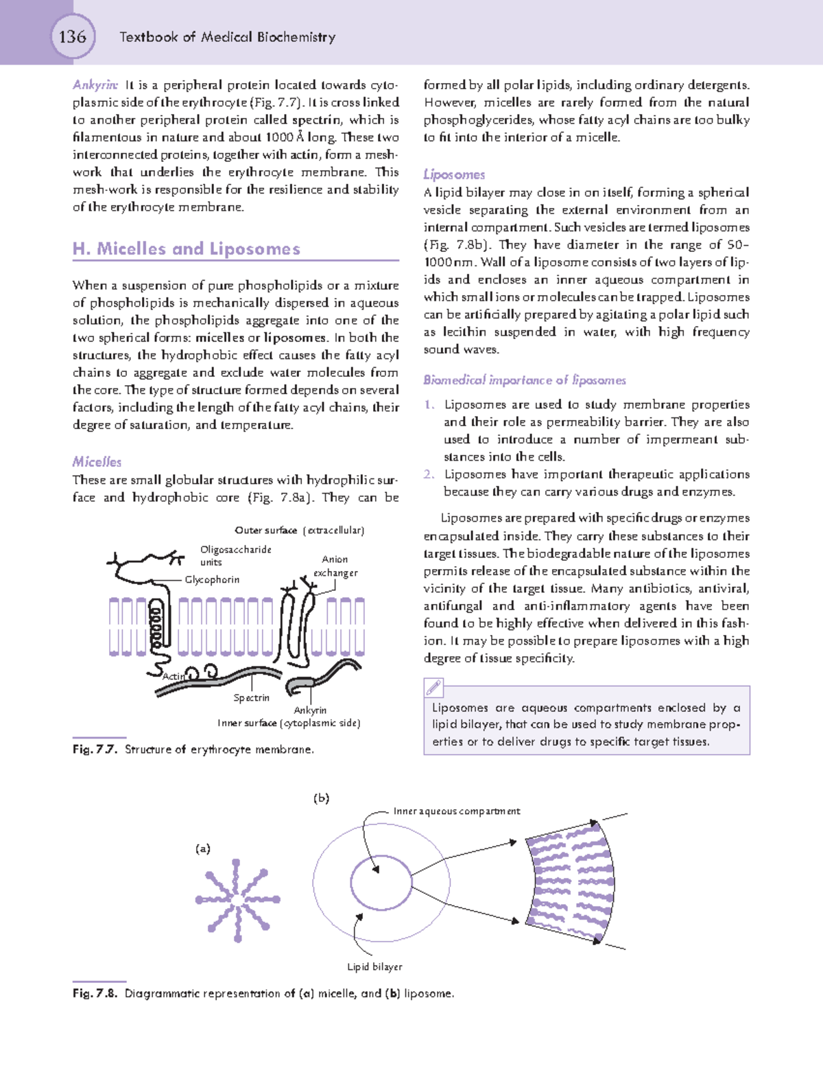 Biochemistry 1-53 - N/A - 136 Textbook of Medical Biochemistry formed ...