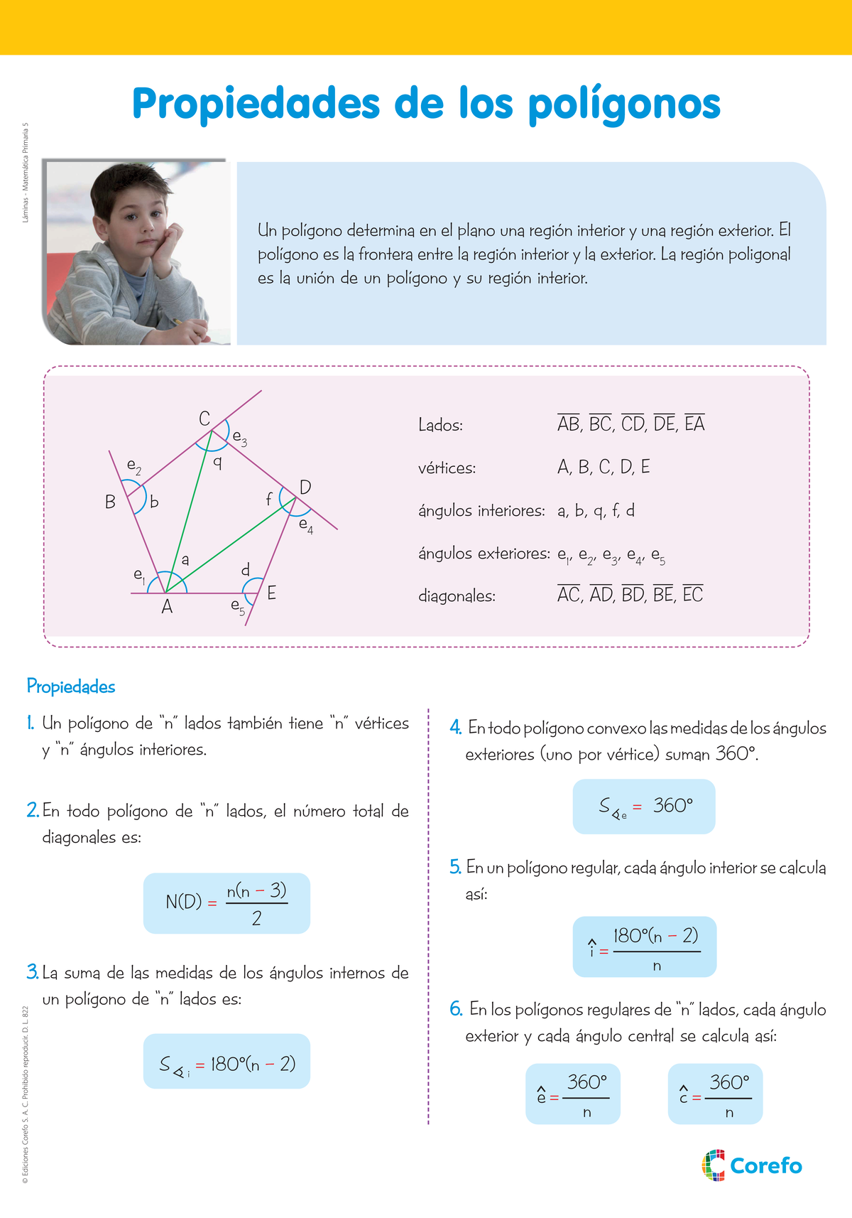 Lámina Propiedades de los polígonos - Láminas - Matemática Primaria 5 ...
