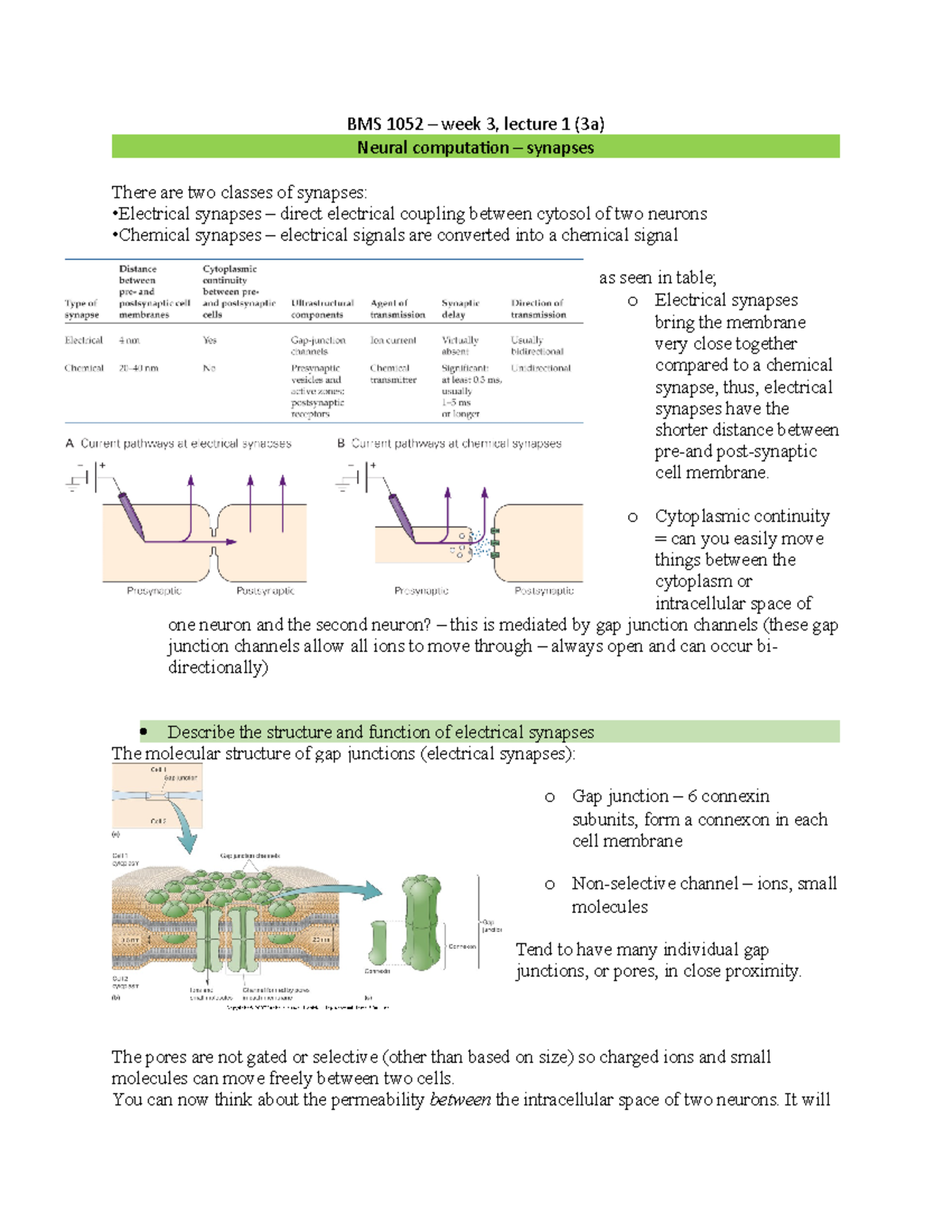BMS 1052 – week 3 lecture 1 - BMS 1052 – week 3, lecture 1 (3a) Neural ...