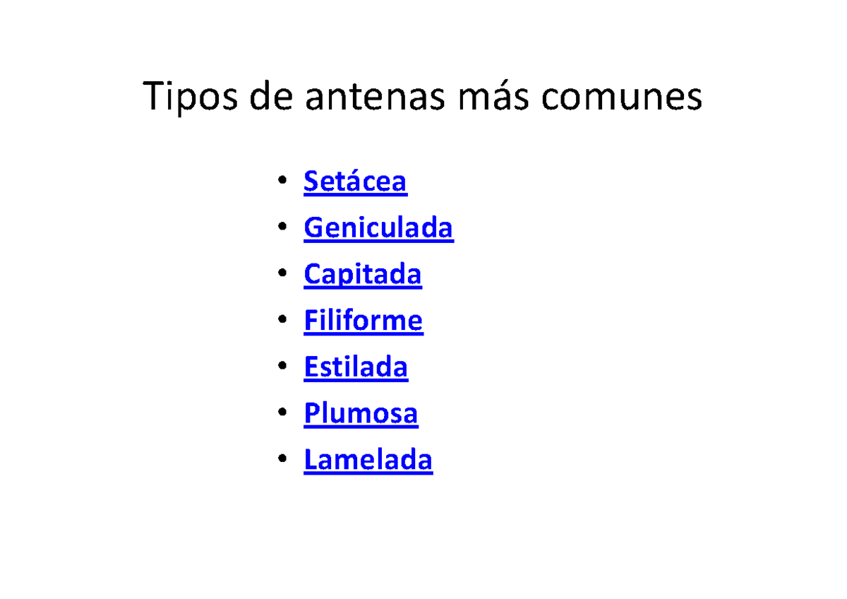 Tipos de antenas mas comunes de los insectos - Tipos de antenas más ...
