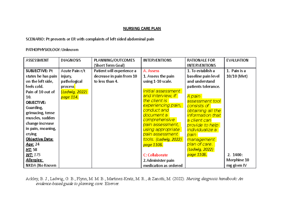 Acuite Pain CP - Care plan for acute pain - NURSING CARE PLAN SCENARIO ...