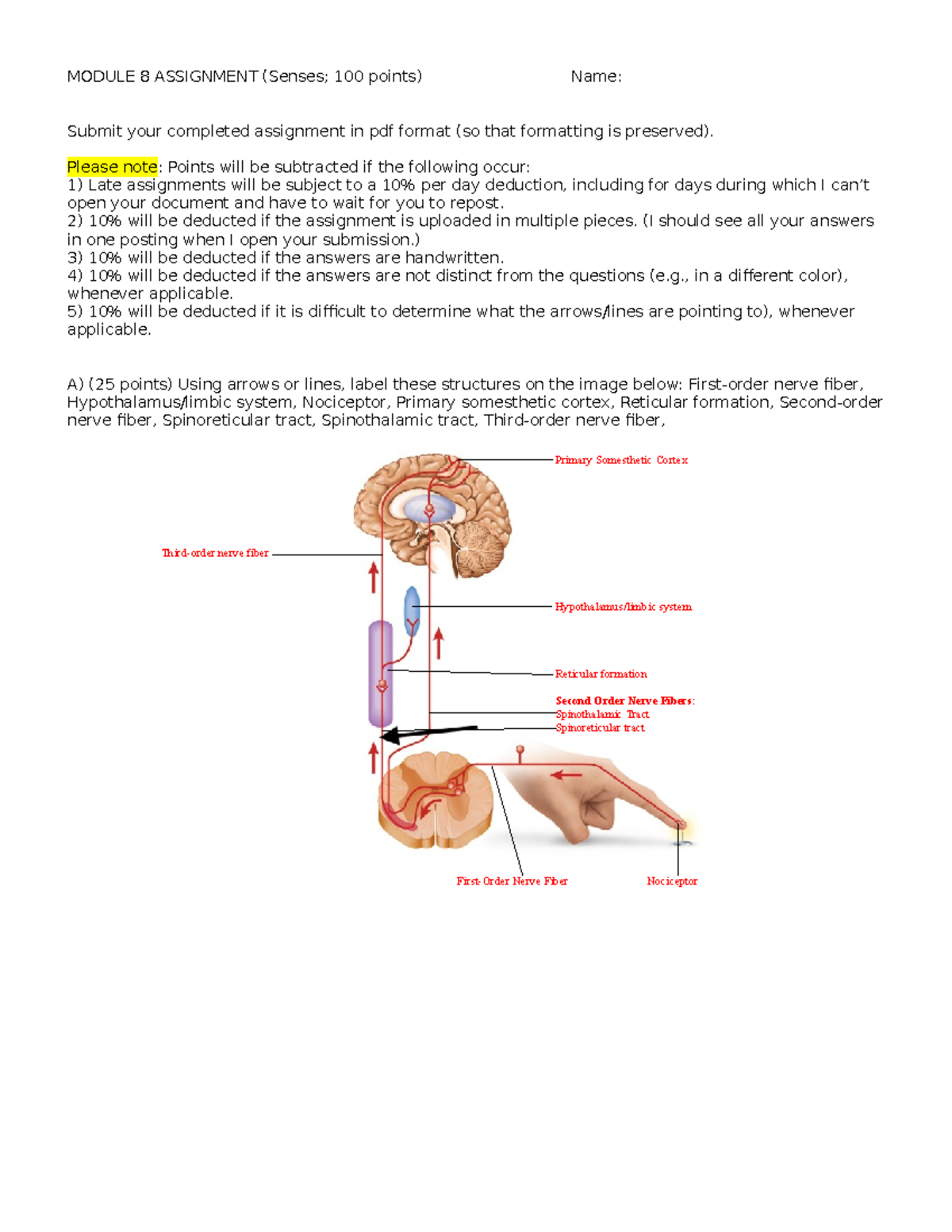 Mod 8 Assignment-1 - summer 22 - MODULE 8 ASSIGNMENT (Senses; 100 ...