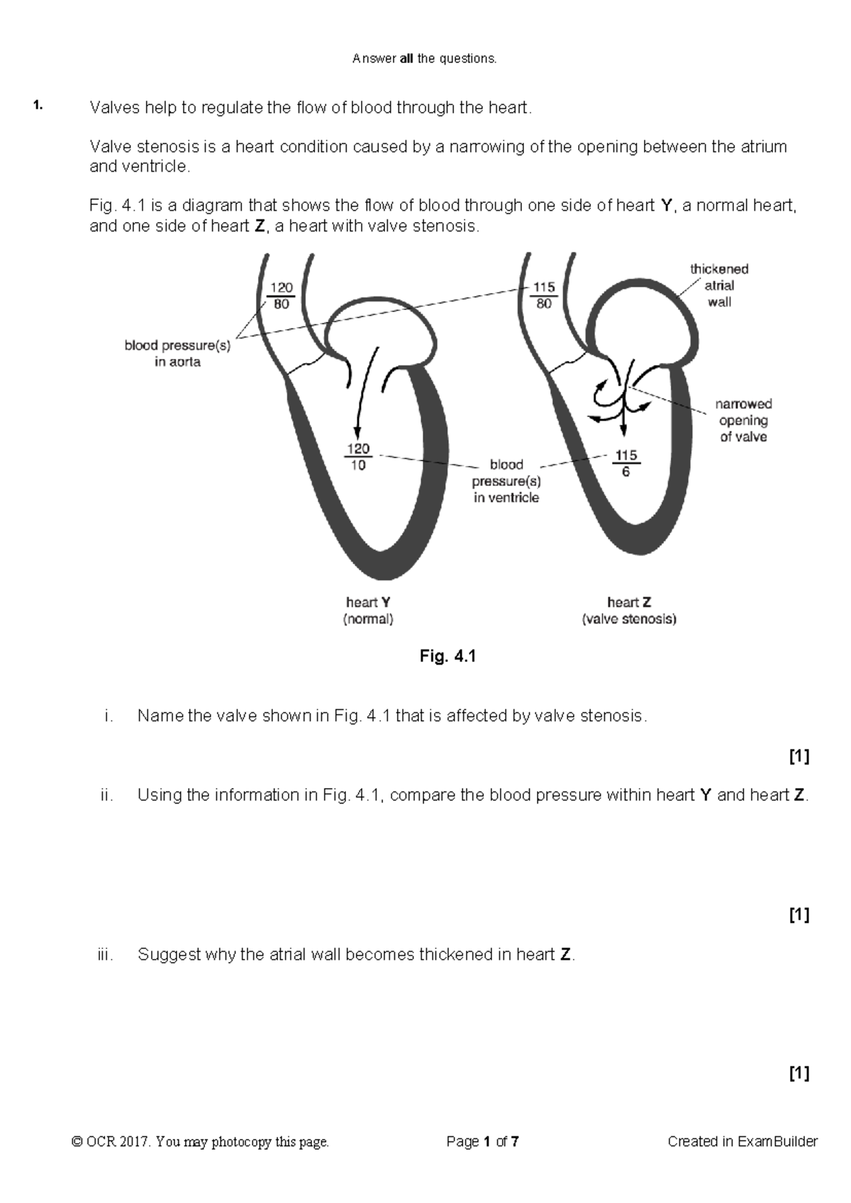 Heart Questions - Answer all the questions. 1. Valves help to regulate ...