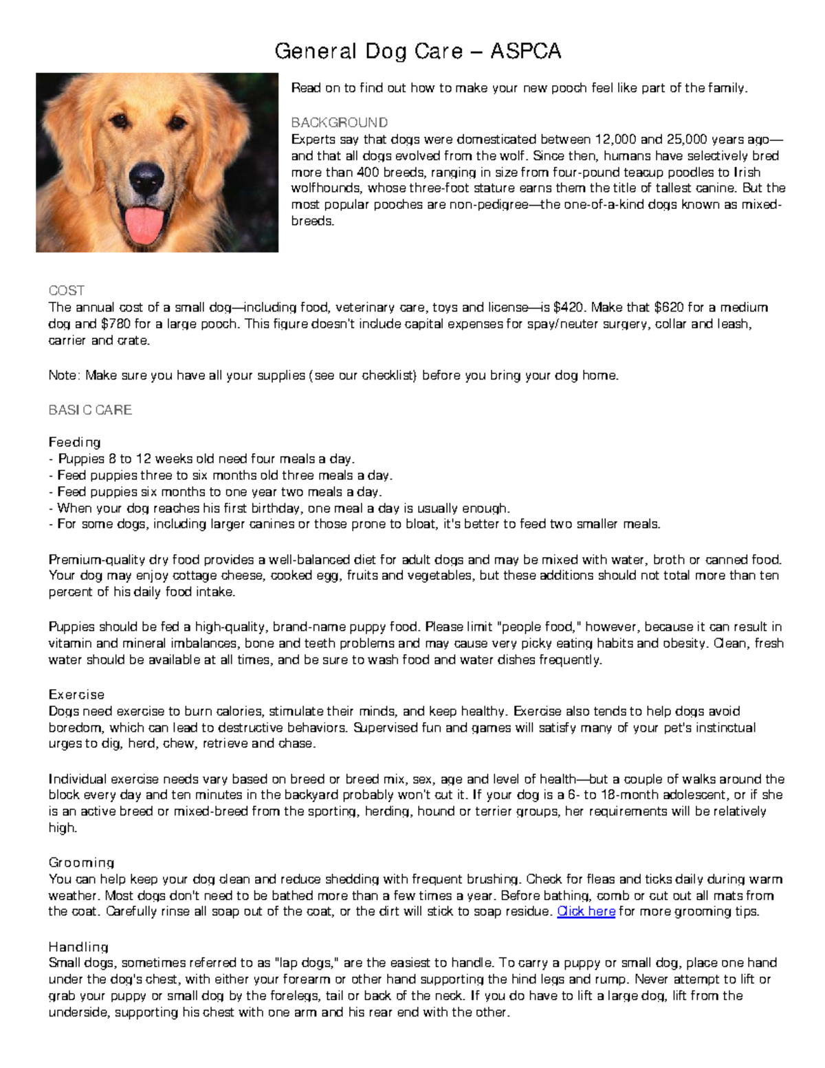 General dog care - The Ultimate Guide to Dog Care TABLE OF CONTENTS ...