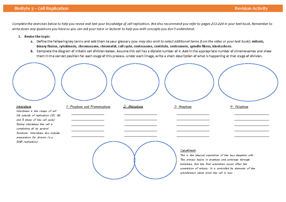 Bio Byte Cell Replication Worksheet - BioByte 3 – Cell Replication ...