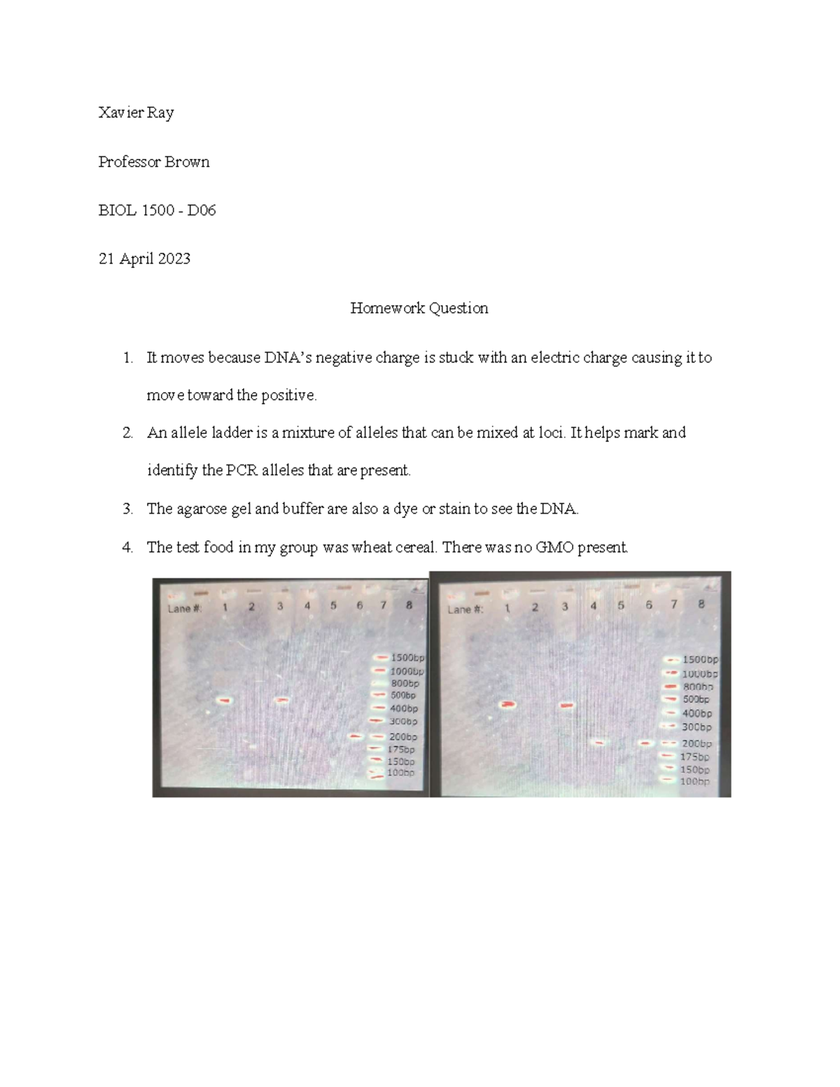 BIOL Lab 9 - Contains Data and Notebook Questions, - Xavier Ray ...