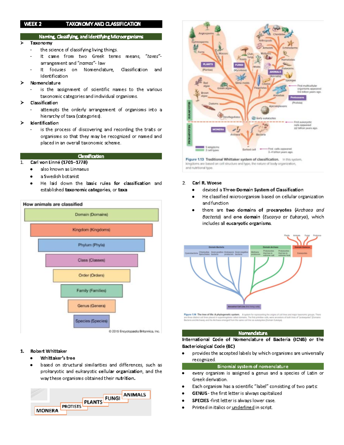 BACT211 taxonomy and classification - WEEK 2 TAXONOMY AND ...