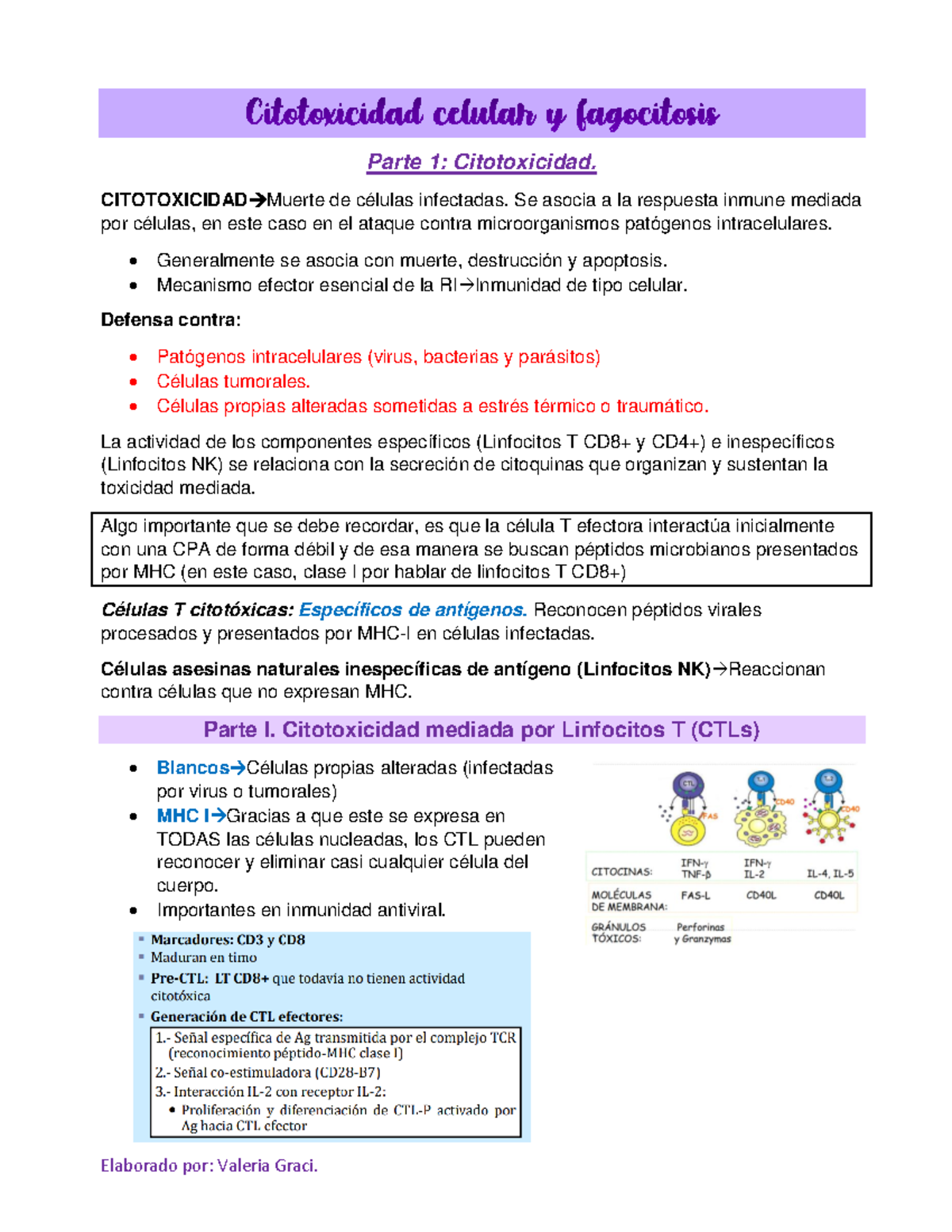 1) Citotoxicidad celular y fagocitosis-Valeria Graci - Parte 1 ...
