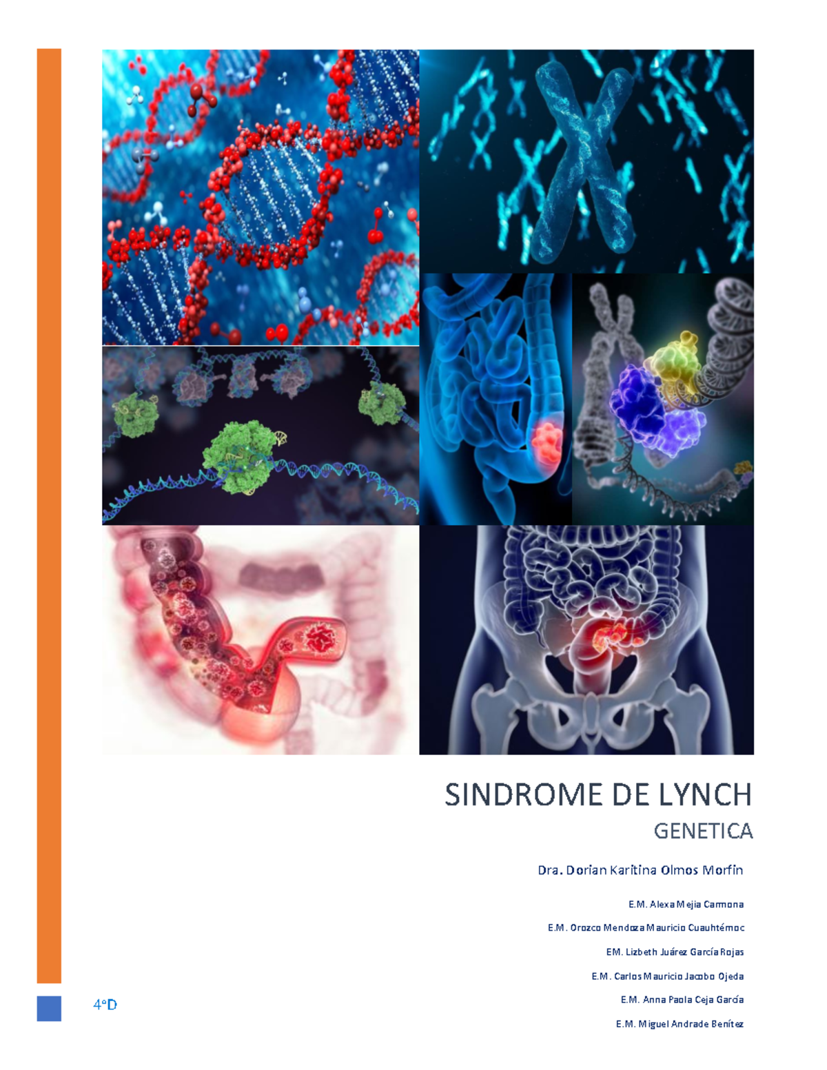 Síndrome dE Lynch - SINDROME DE LYNCH GENETICA E. Alexa Mejia Carmona E ...