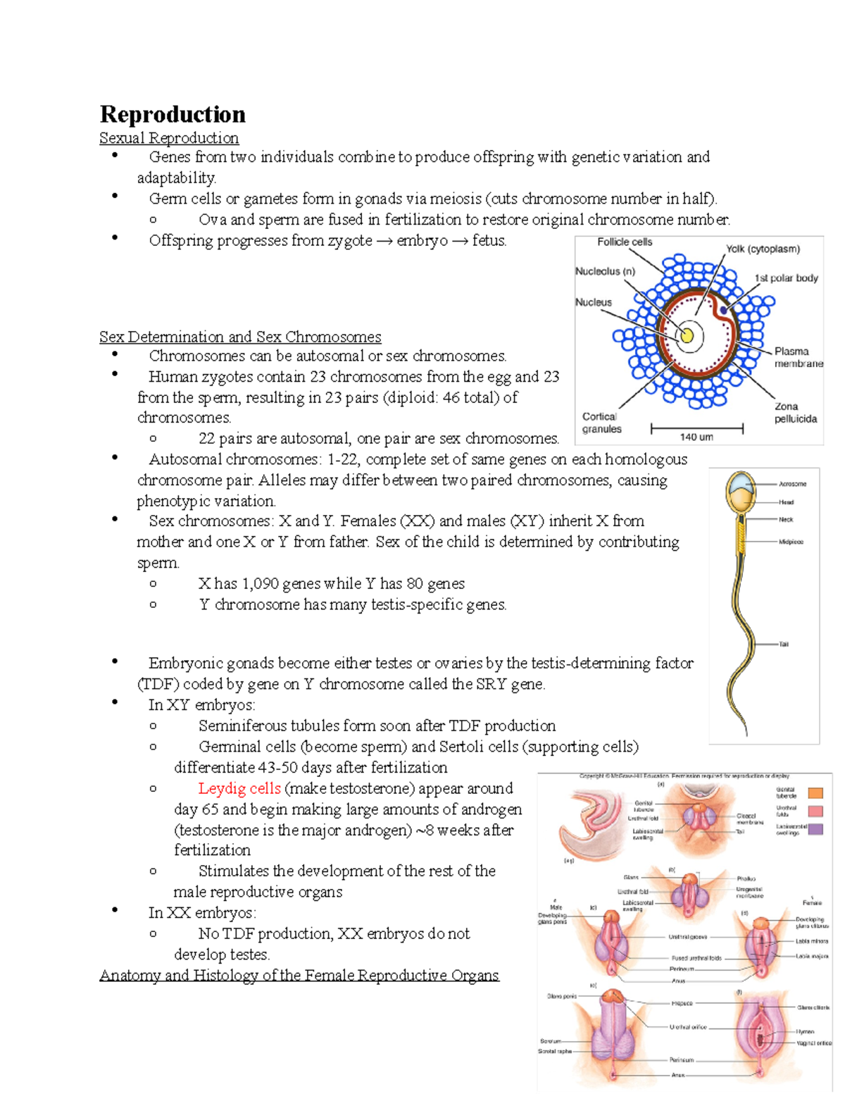 W7 - Reproduction male and female - Reproduction Sexual Reproduction ...