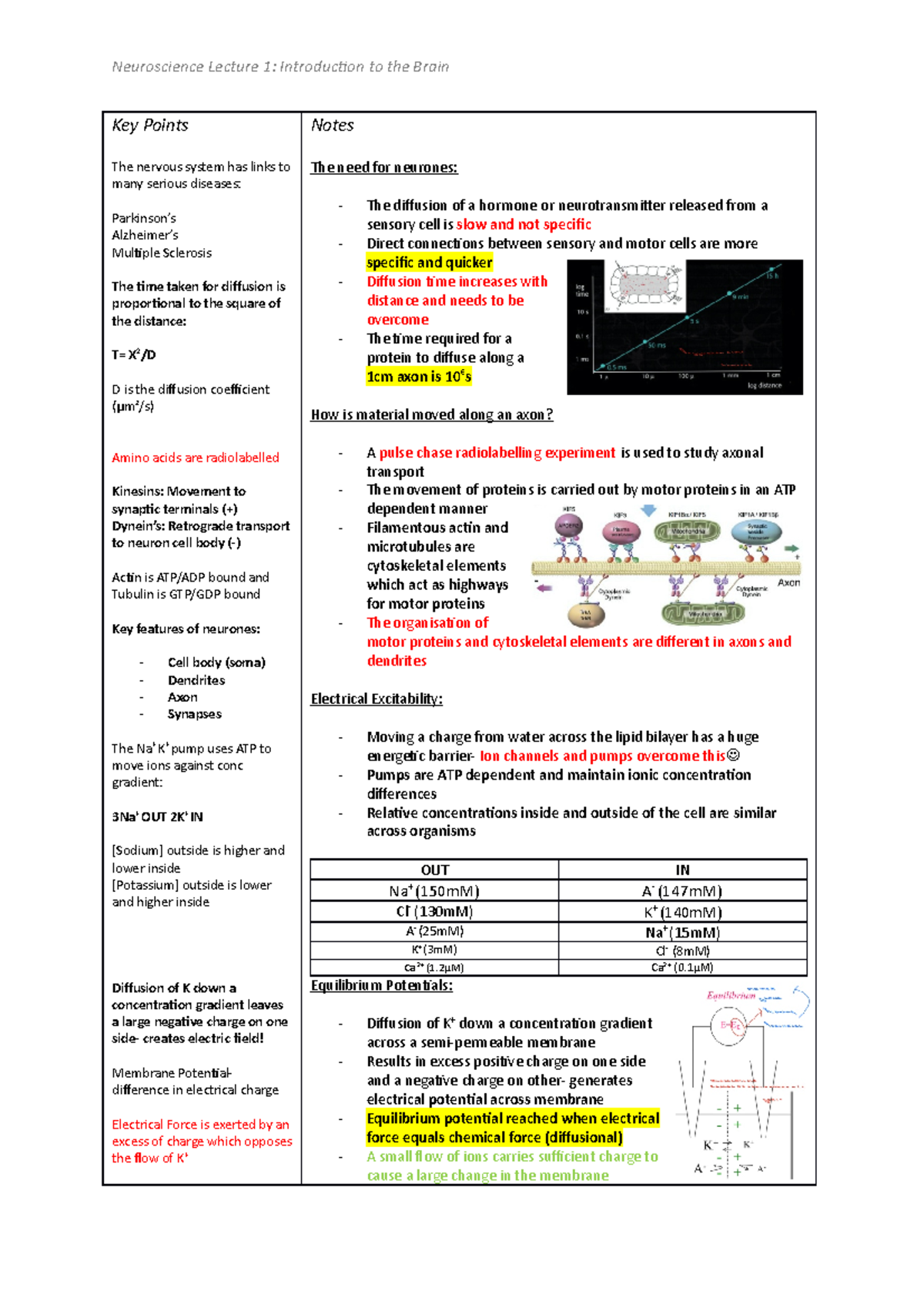 Neuroscience Lecture 1 - Studocu