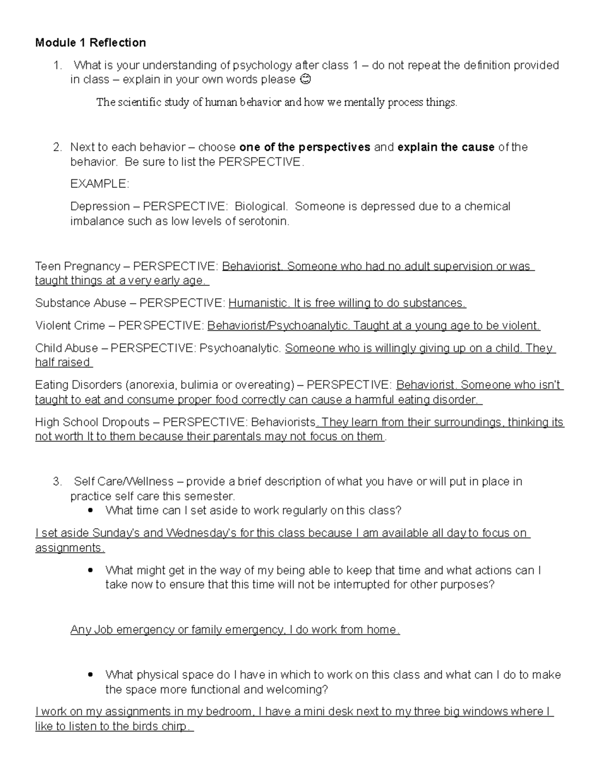 Reflection Class 1 - What parts of the brain help you drive a car and ...