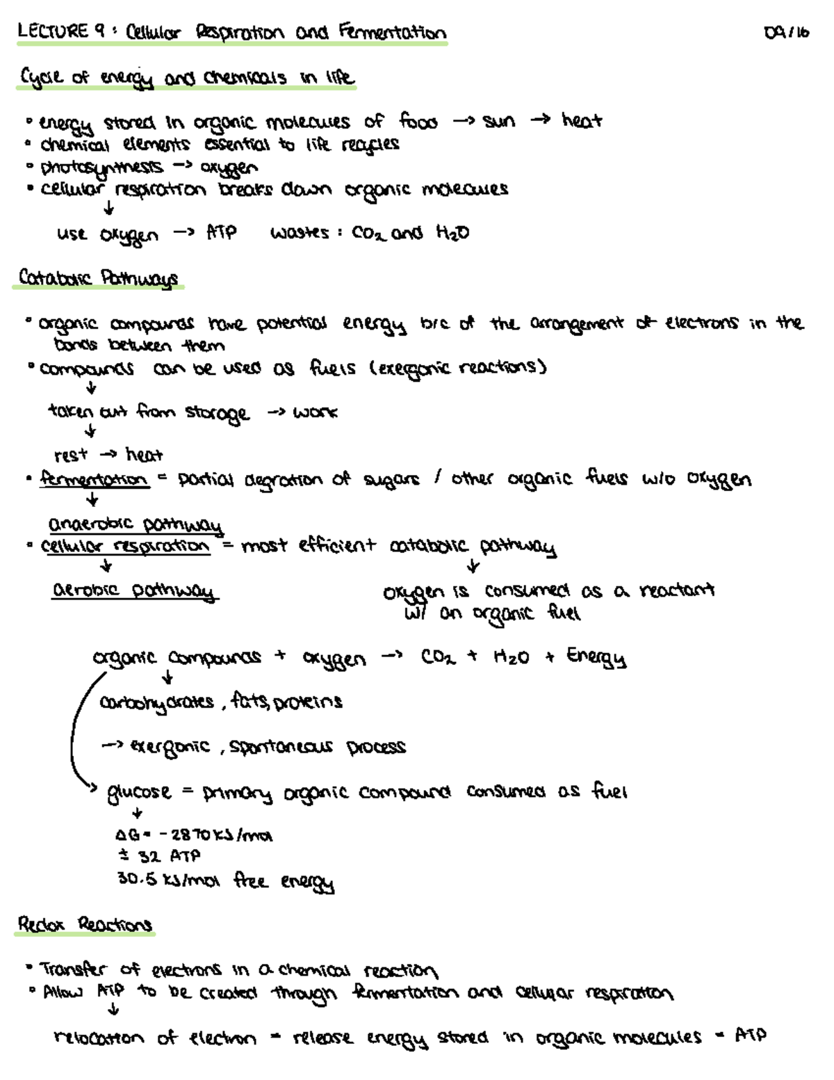 Summary For Test 2 Warning Error During Font Loading Xmlrequest