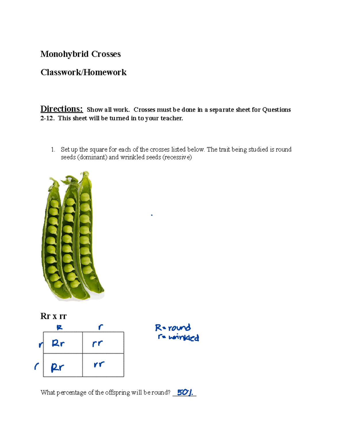 Monohybrid Cross Classwork-Homework - Monohybrid Crosses Classwork ...