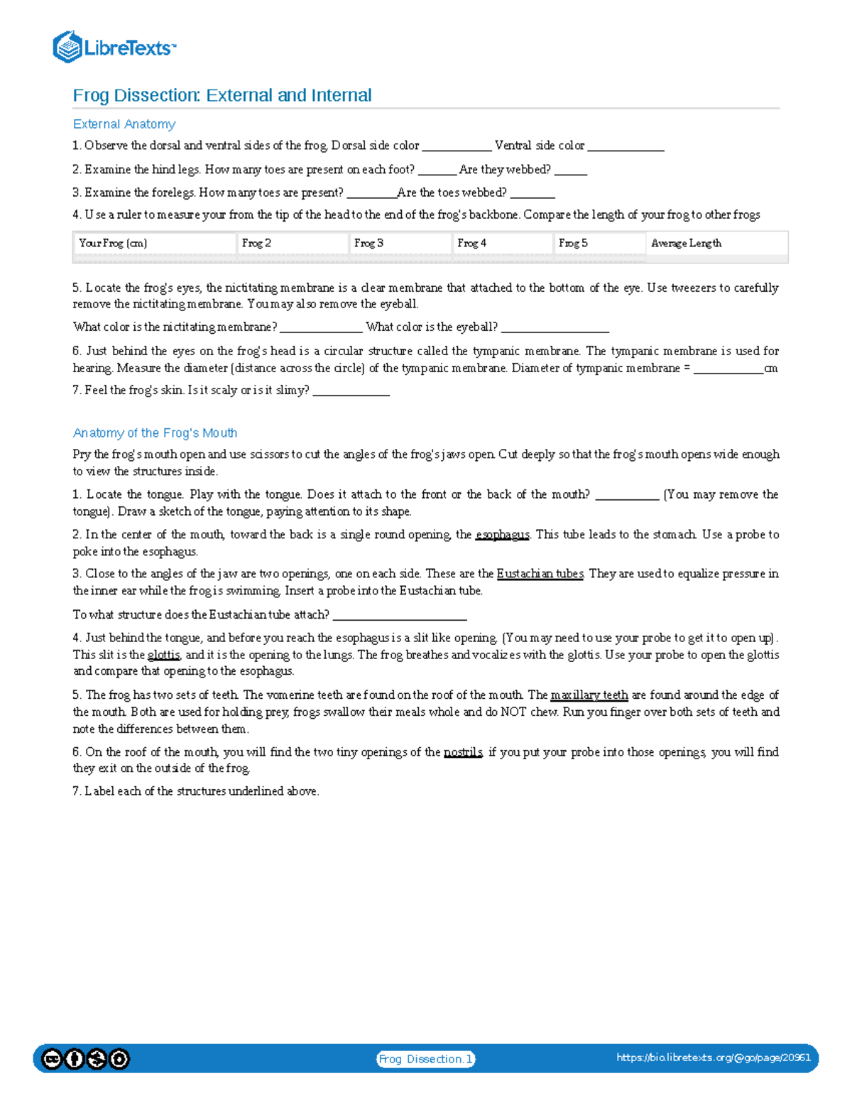 Frog Dissection External and Internal - Frog Dissection: External and ...