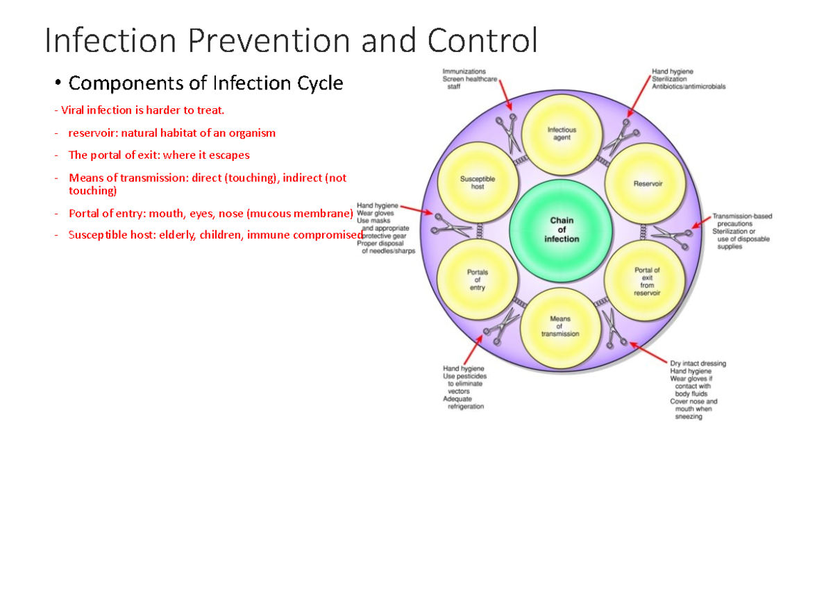 Infection PPT with notes - Infection Prevention and Control ...