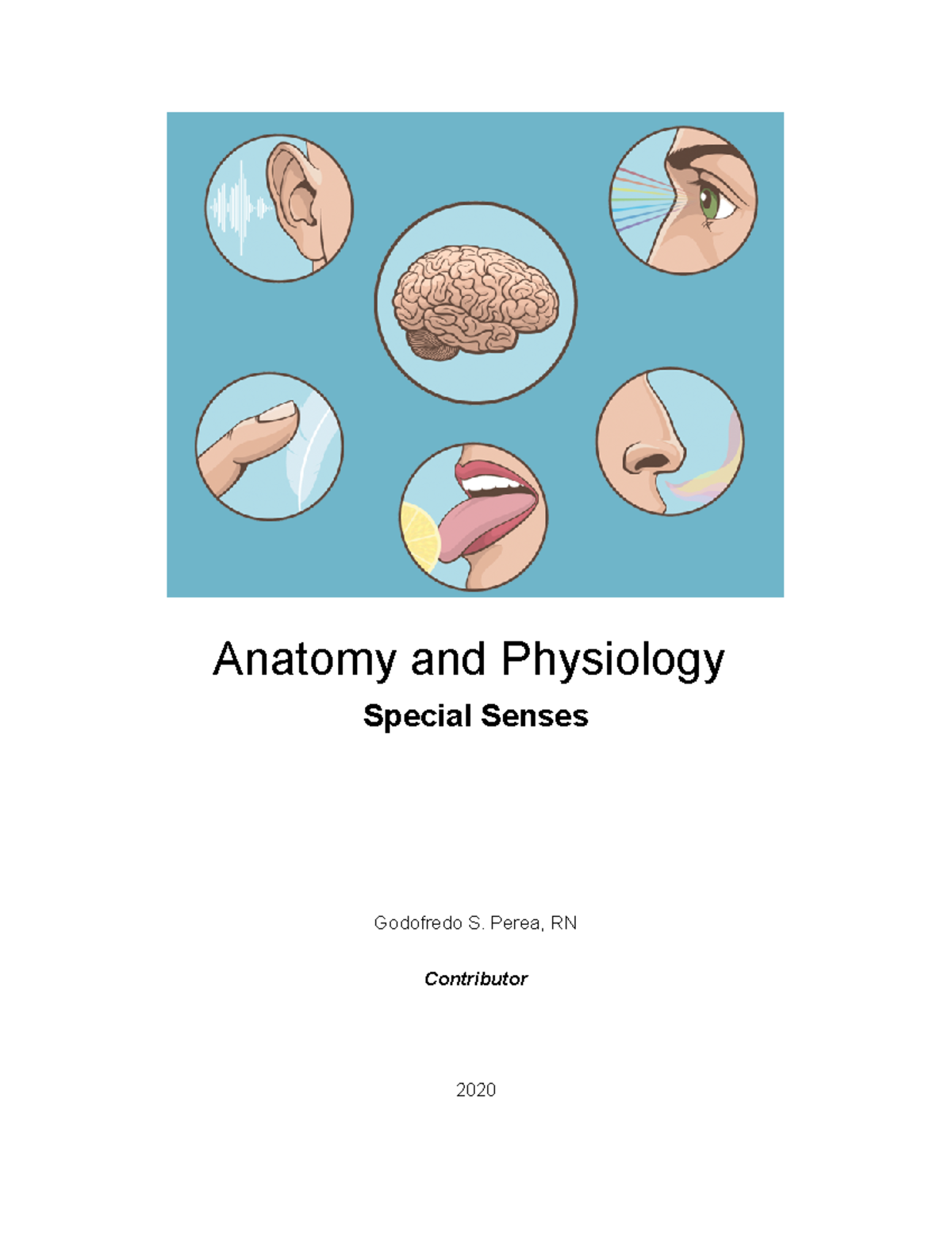CH 08 Special Senses sc 1 - Anatomy and Physiology Special Senses ...