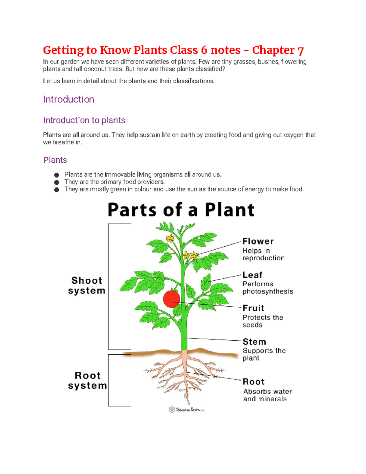 Getting To Know Plants Class 6 Notes Chapter 7 Getting To Know